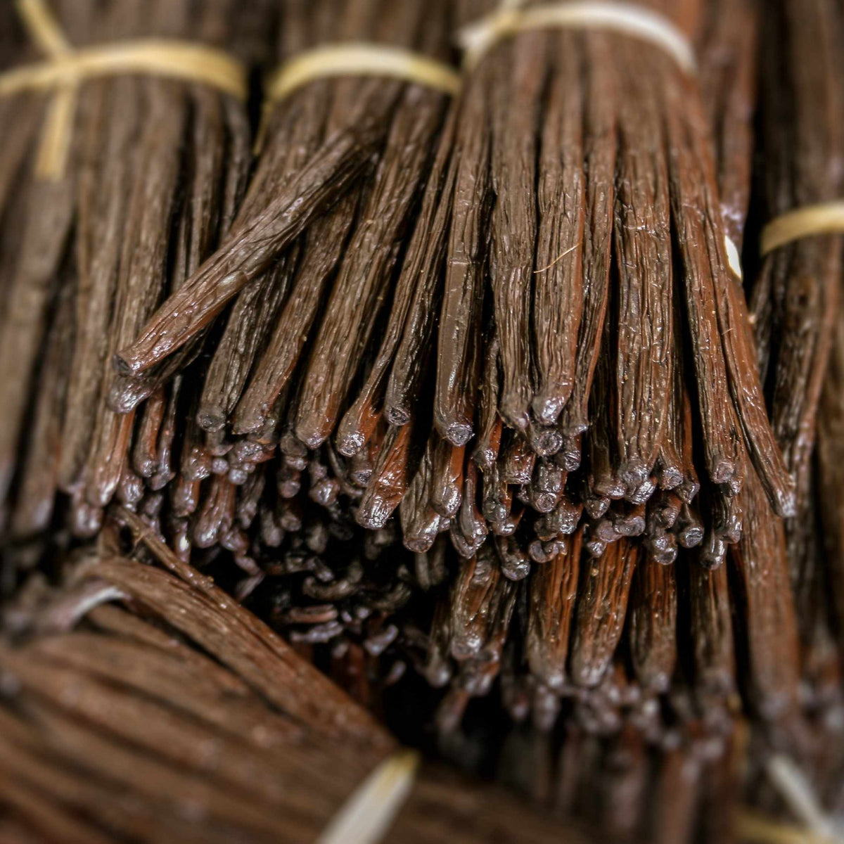 Homemade Bourbon Vanilla Extract - Grace of Melanin